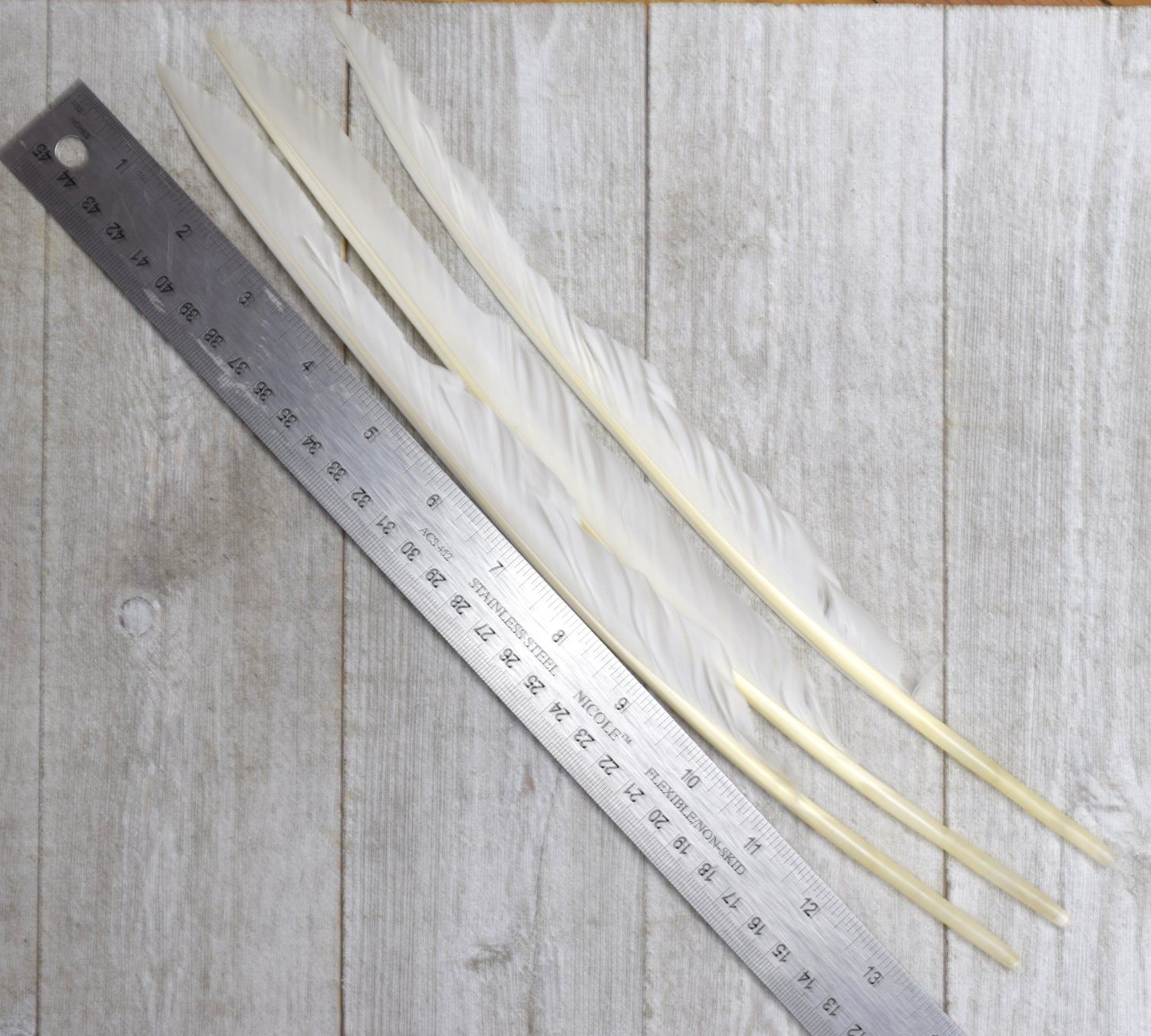 Goose Pointer Feathers for Quills – ArteOfTheBooke