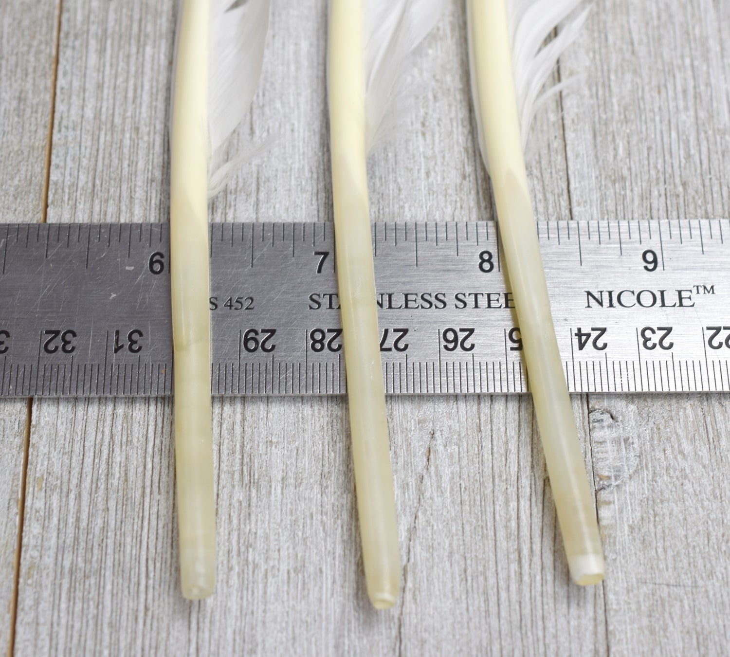 Goose Pointer Feathers for Quills – ArteOfTheBooke
