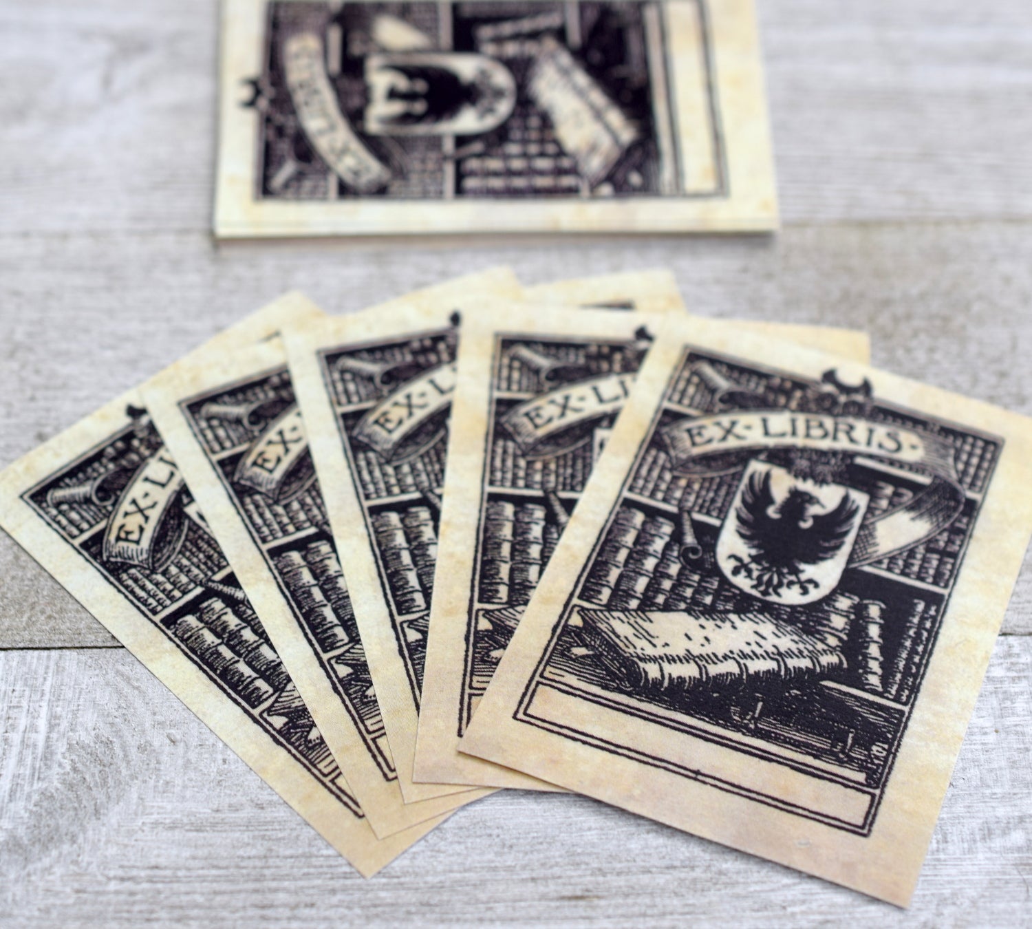 Ex Libris Book Plates with Heraldic Shield: Set of 24 Self-Adhesive La ...
